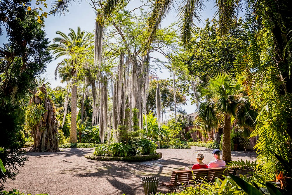 Do What Agatha Did: Exploring Tenerife’s Historical Elegance